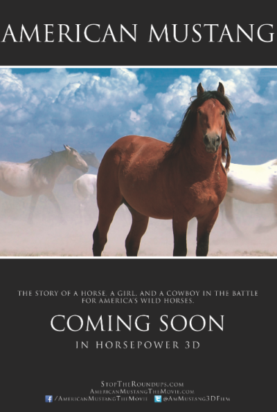 On Film – Horse & Style Magazine