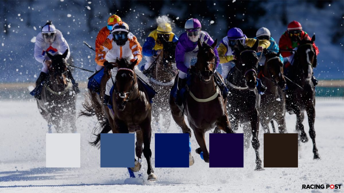 Equestrian Pantone: Color Palettes Inspired by Famous Race Horses ...