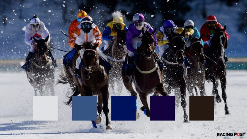 Equestrian Pantone: Color Palettes Inspired by Famous Race Horses ...