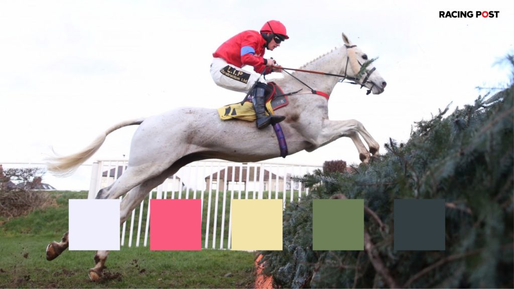 Equestrian Pantone: Color Palettes Inspired by Famous Race Horses ...