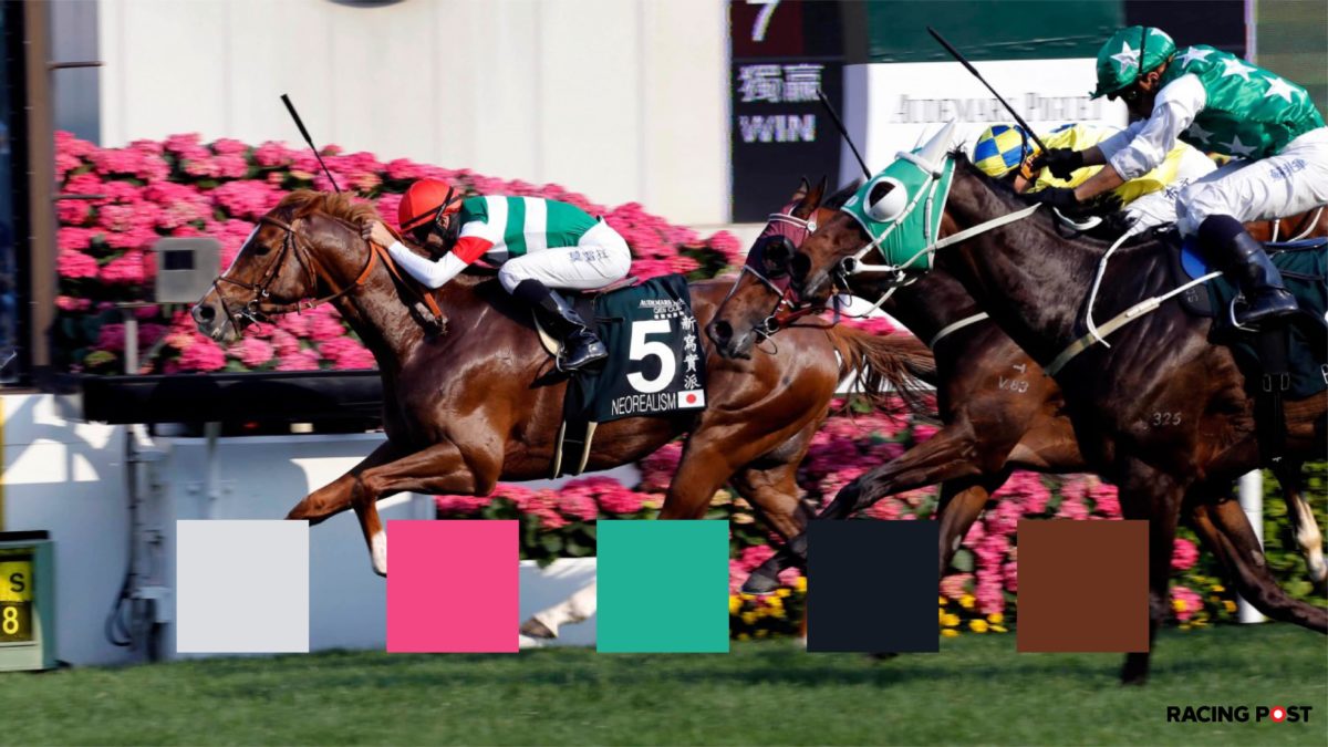 Equestrian Pantone: Color Palettes Inspired by Famous Race Horses ...