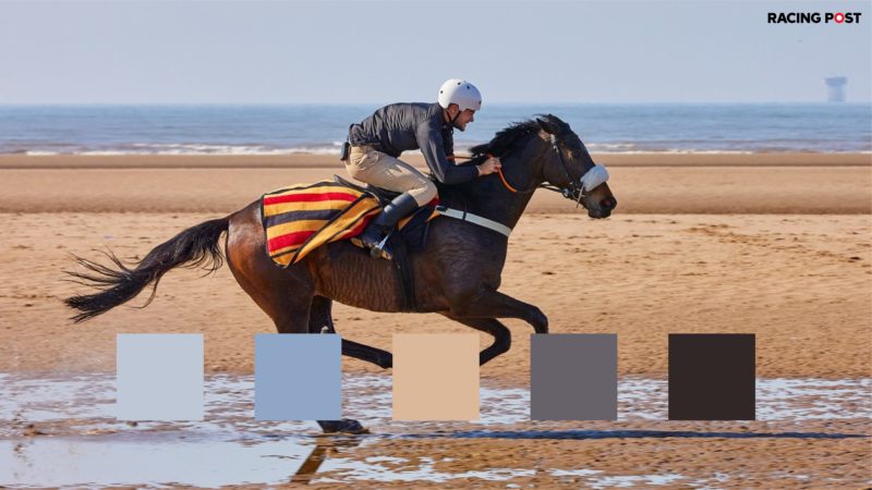 Equestrian Pantone: Color Palettes Inspired by Famous Race Horses ...