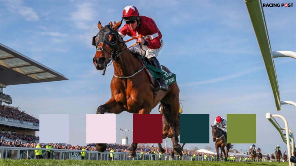 Equestrian Pantone: Color Palettes Inspired by Famous Race Horses ...