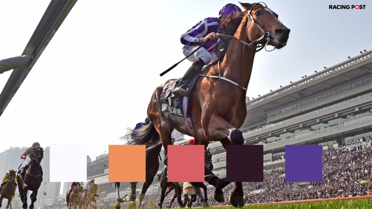 Equestrian Pantone: Color Palettes Inspired by Famous Race Horses ...