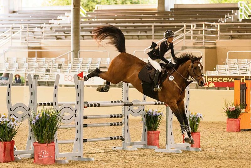 Horse Corner: The Many Mounts of Amanda Gomez – Horse & Style Magazine